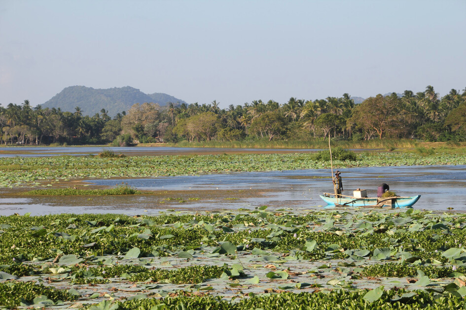 Tissamaharama and Yala national park